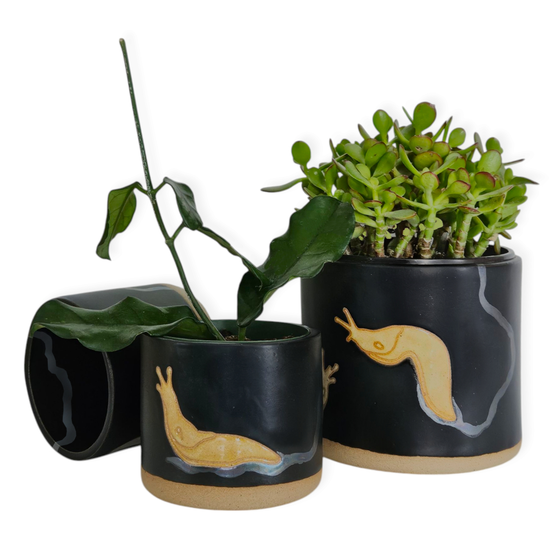 Meet Edmonds Spring Fest Vendor- Arrows Aim Greenhouse - Urban Craft Uprising